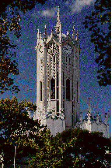 Information about Auckland